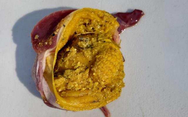 What is a Chicken Gizzard and Chicken Crop? - Backyard Poultry